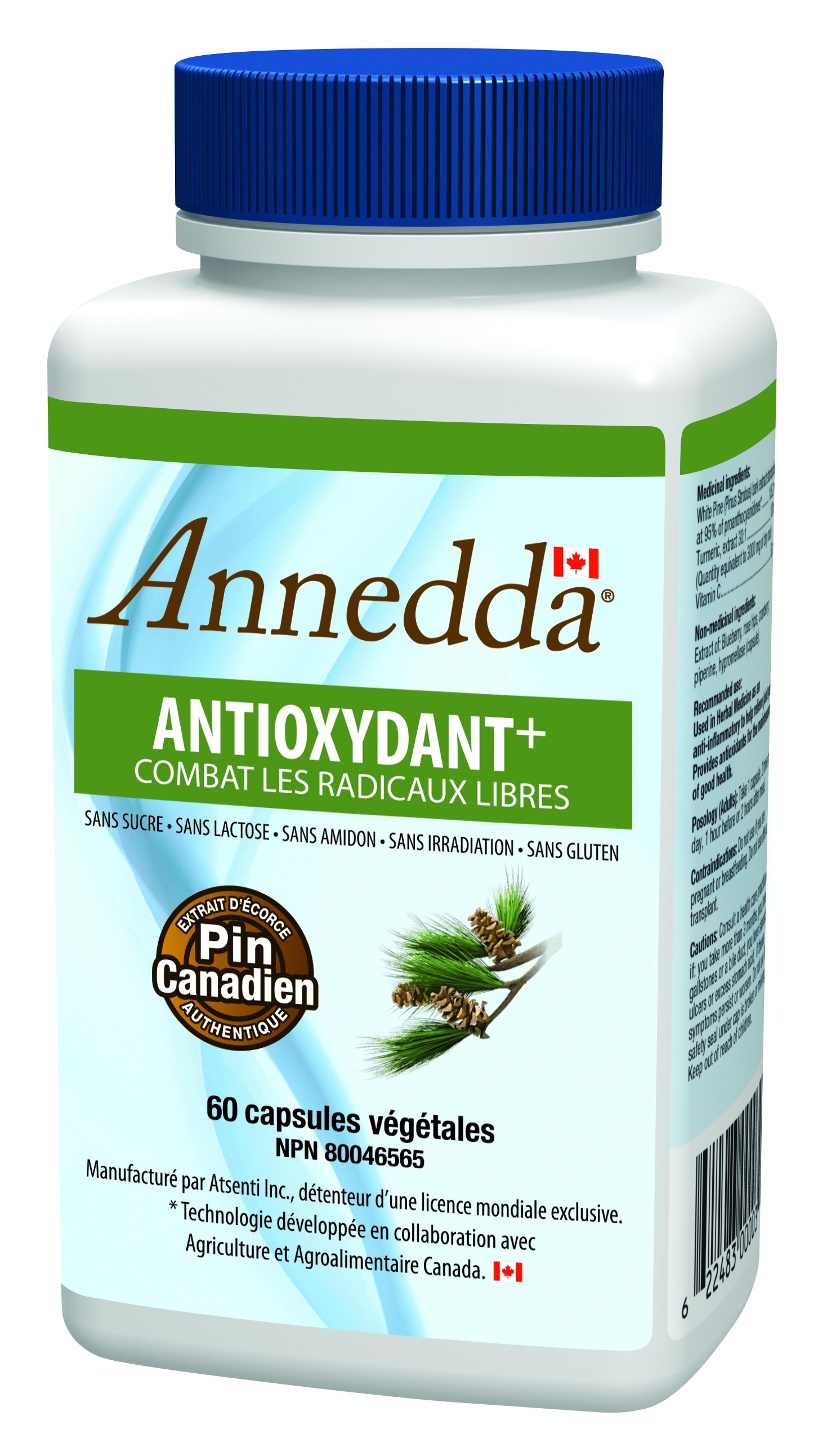 Annedda | Antioxydant | Anti-vieillissement